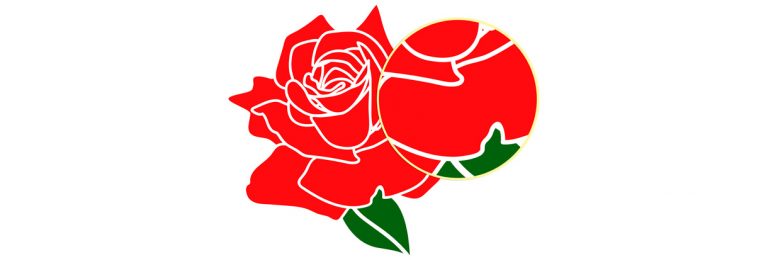 O que é uma Imagem Vetorial? Quando e Porque Utilizar | Afixgraf