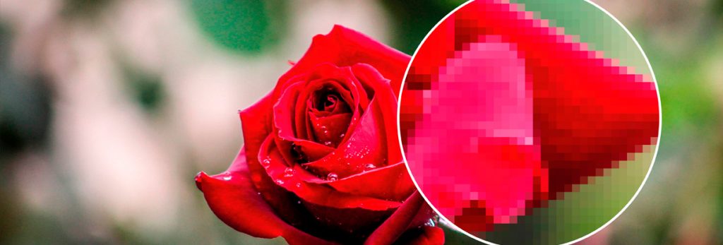 O que é uma Imagem Vetorial? Quando e Porque Utilizar | Afixgraf