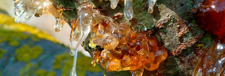 O que é Resina? Conheça os Tipos e Aplicações na Comunicação Visual